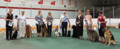 NYOC Trials for 2026 | NYOC Dog Training